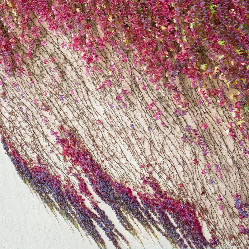 The Tangle – Helioscope