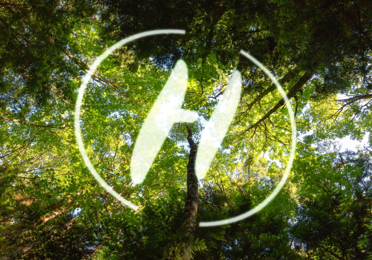 Leaf Canopy – Helioscope